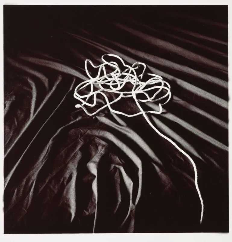 Anne Noble by Courtney Johnston - DigitalNZ