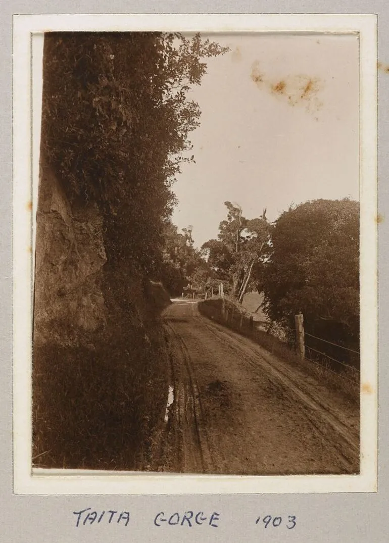 Taita, Lower Hutt by Heather Scullion - DigitalNZ