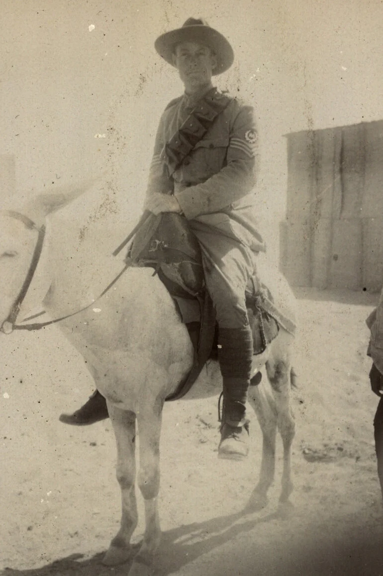 Military donkeys during WWI & WWII by Zokoroa - DigitalNZ