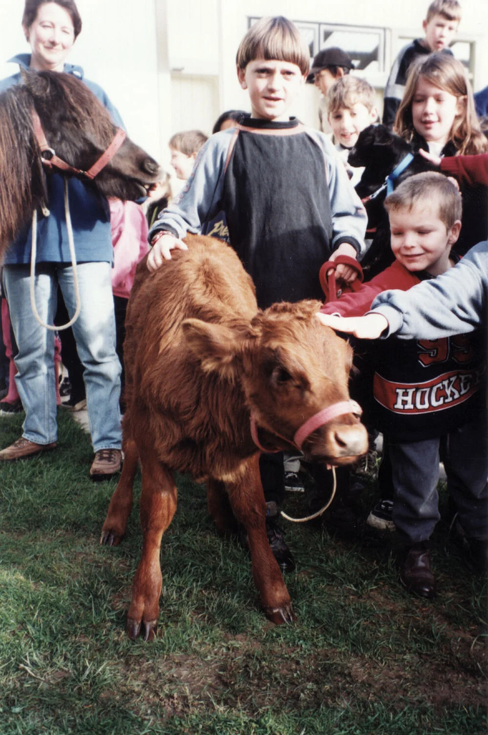 Animal Magic Ltd, Mangaroa Valley; owned by Annie Patrick; Mitchell ...
