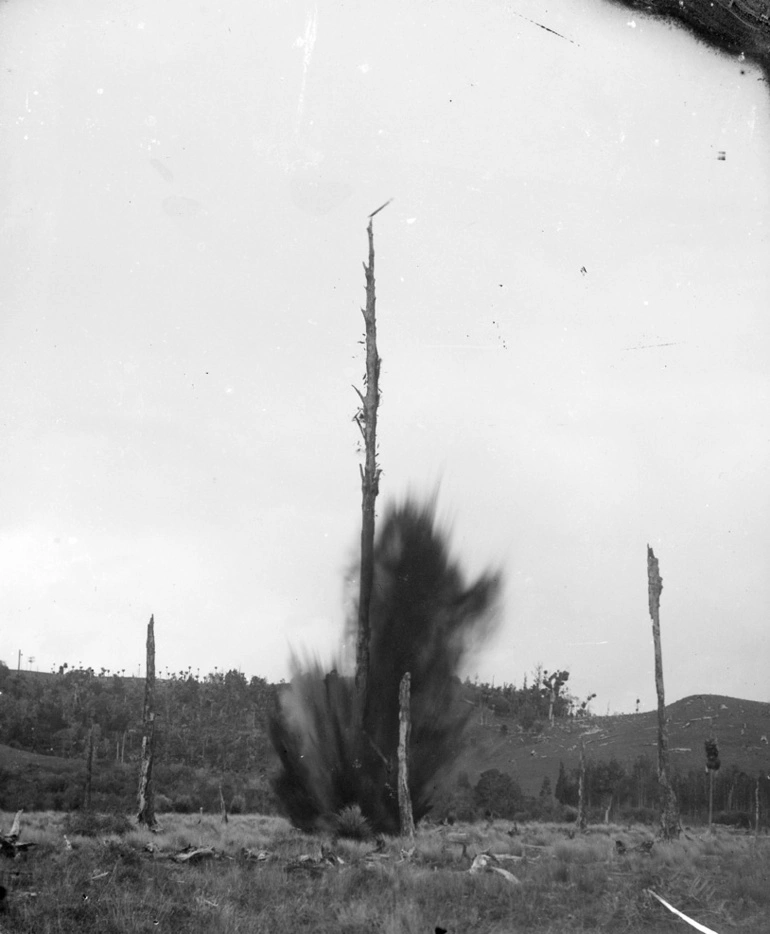 Explosions by Dan - DigitalNZ