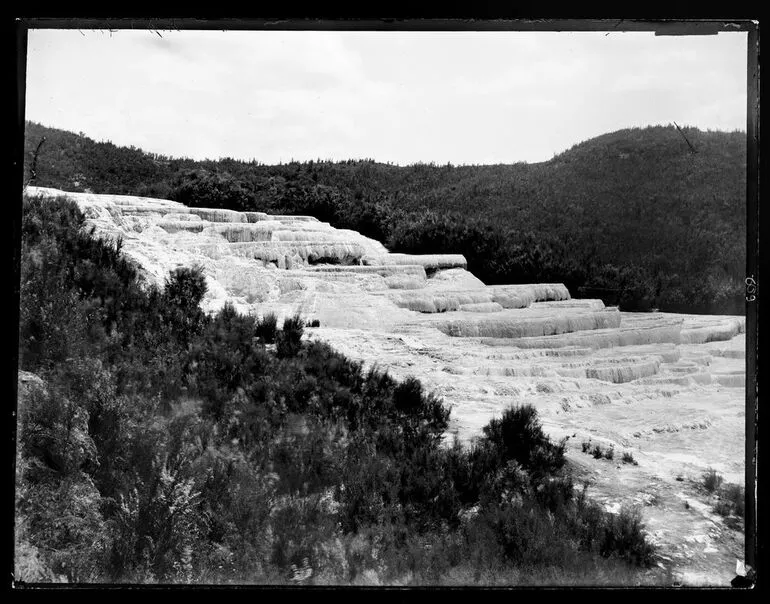 Pink Terraces by wizzyrea - DigitalNZ