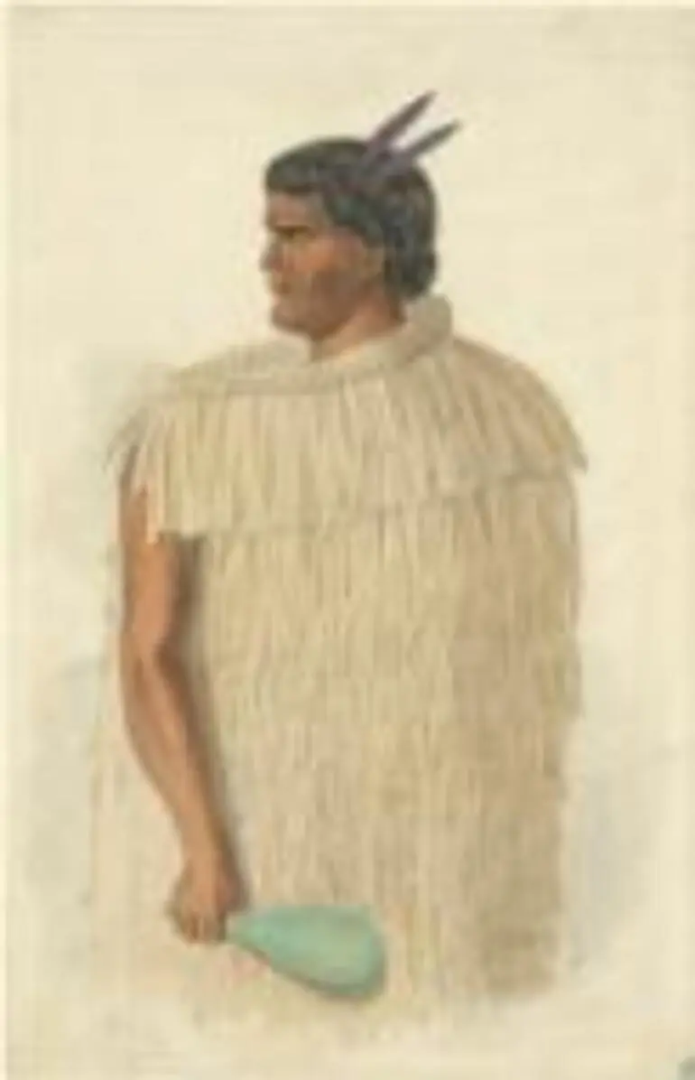 The Northern War 1845-46 by National Library of New Zealand Topics ...