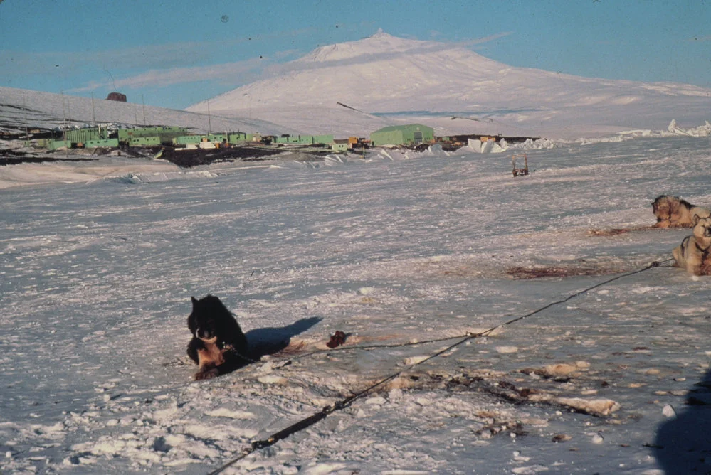 Scott Base from the Dog Lines | Record | DigitalNZ