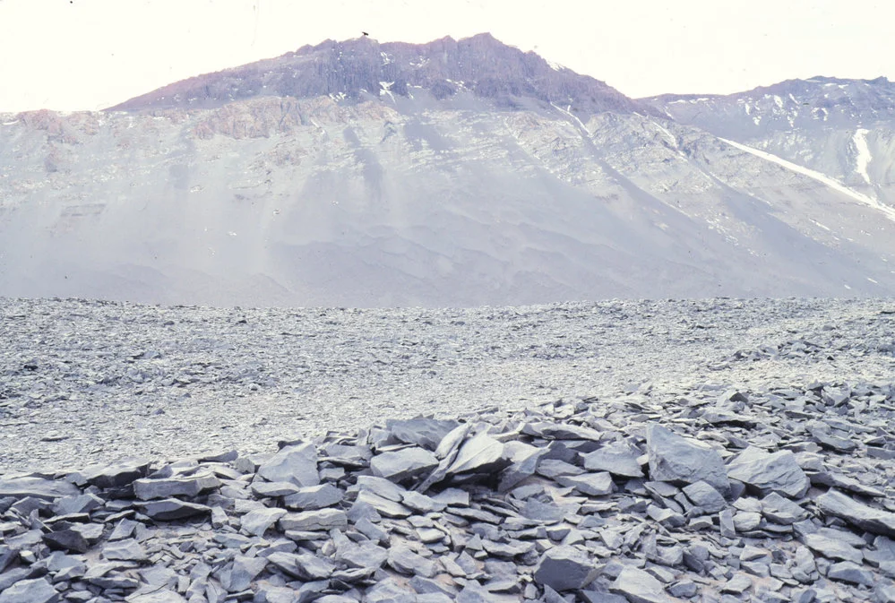 Near Vanda- Olympus Range | Record | DigitalNZ