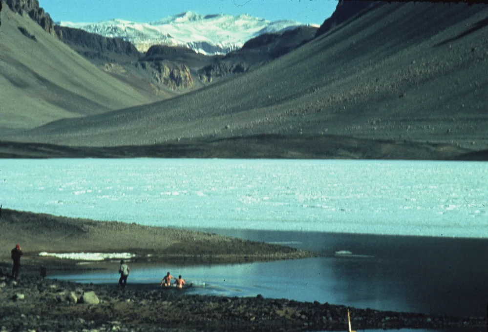 Vanda swim club and Dais beyond | Record | DigitalNZ