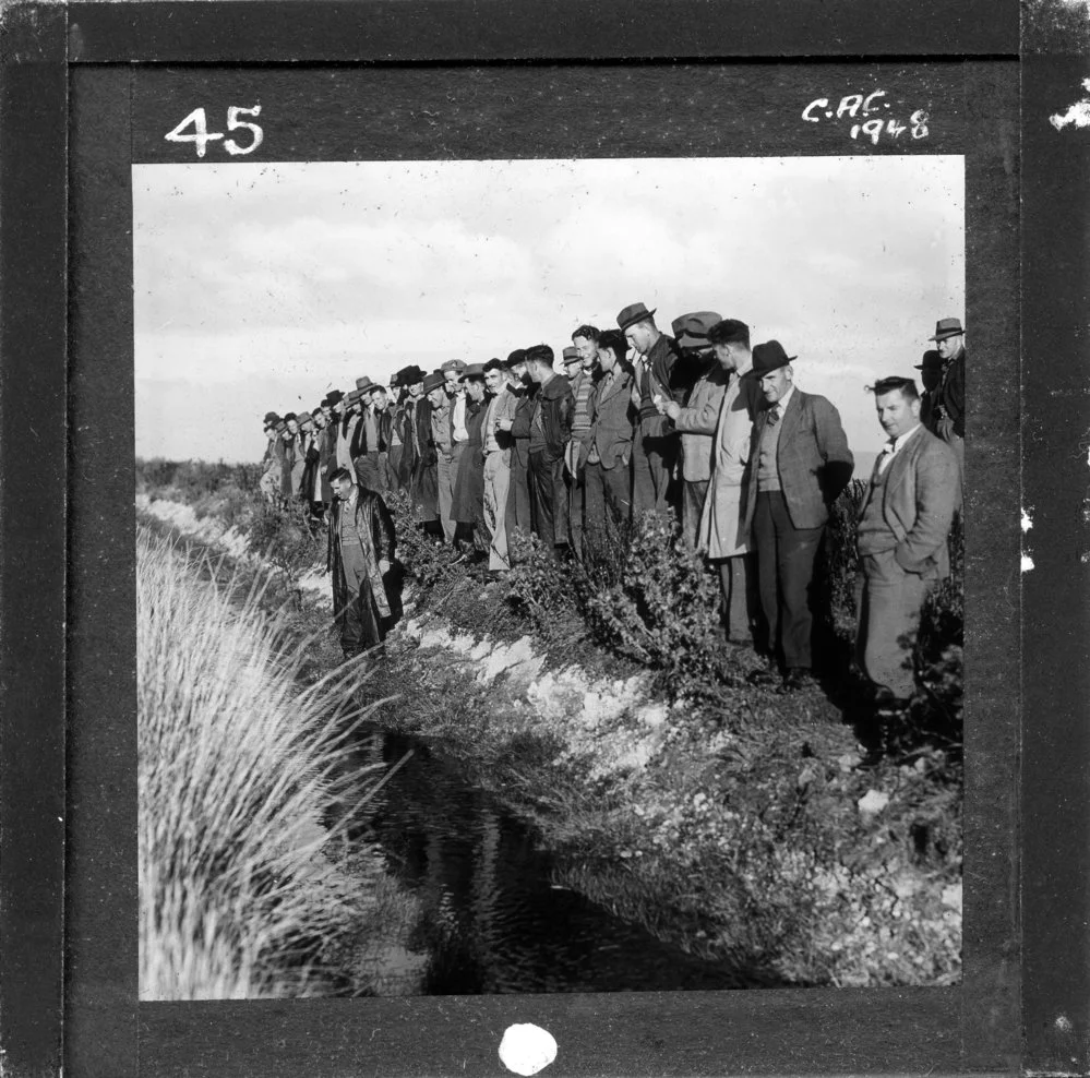 NZ Agriculture Slides-1948-49_045 | Record | DigitalNZ
