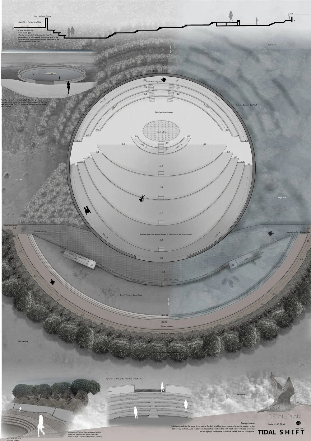 2018 Tidal Shift - Topsy Steele | Record | DigitalNZ