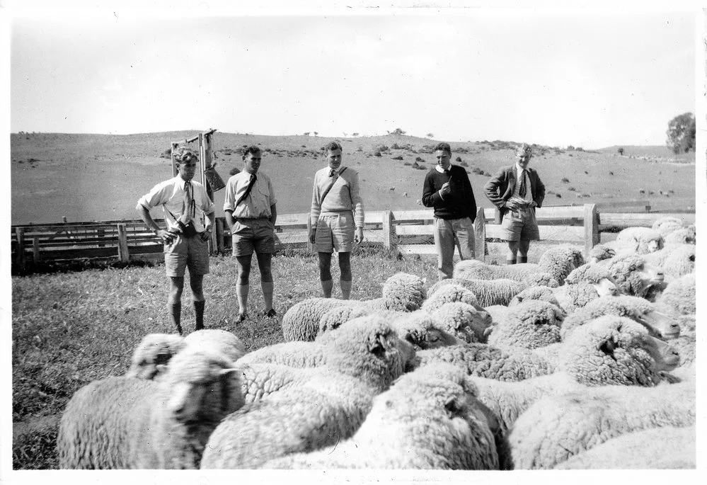 1953 VFM Students Field Trip 05 | Record | DigitalNZ