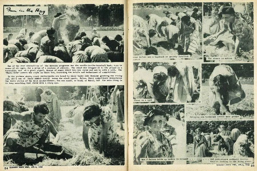 Fun in the Hay | Record | DigitalNZ