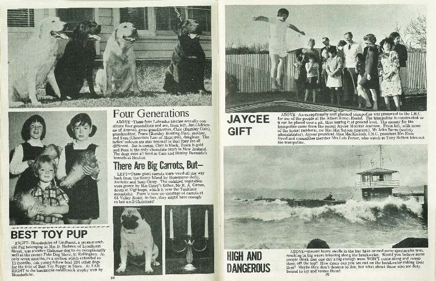 Jaycee Gift | Record | DigitalNZ