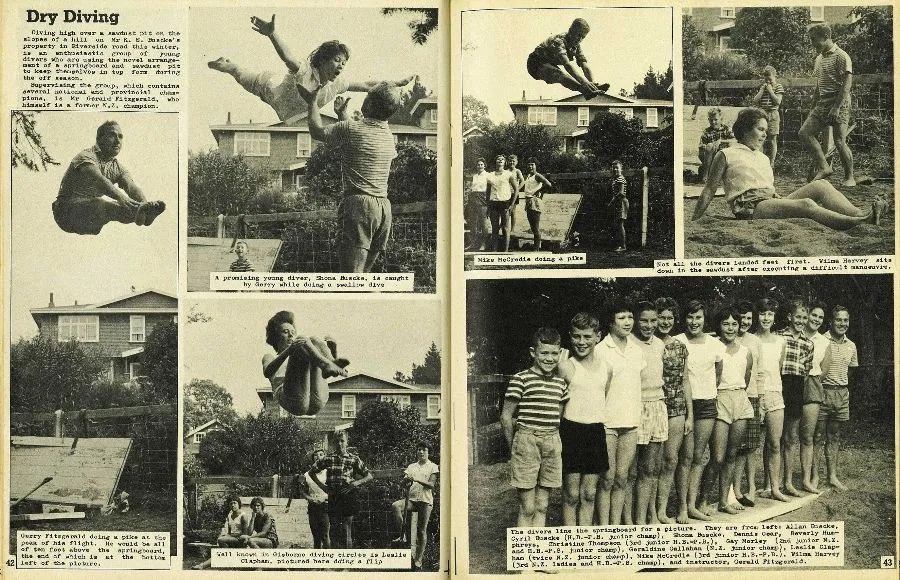 Dry Diving | Record | DigitalNZ