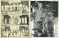 Concert at Murchison | Record | DigitalNZ