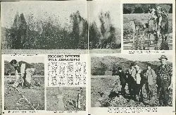 Digging Ditches With Explosives | Record | DigitalNZ