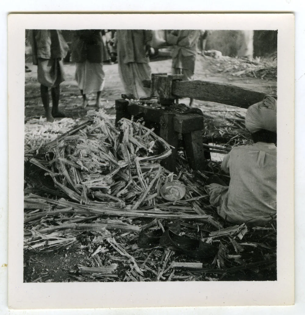 "Sugar Crushing III" | Record | DigitalNZ