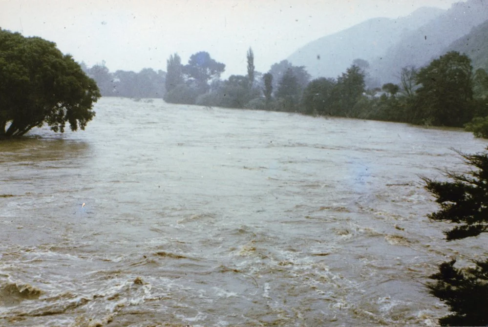 Flood, 1965; Te Awa Kairangi / Hutt River; from Moonshine Bridge? | Record | DigitalNZ
