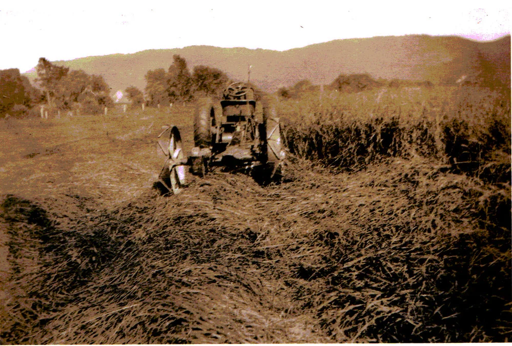 Making hay | Record | DigitalNZ
