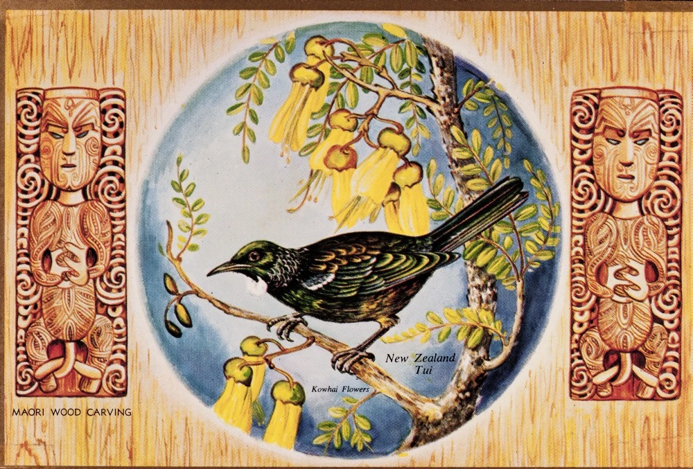 New Zealand Tui | Record | DigitalNZ