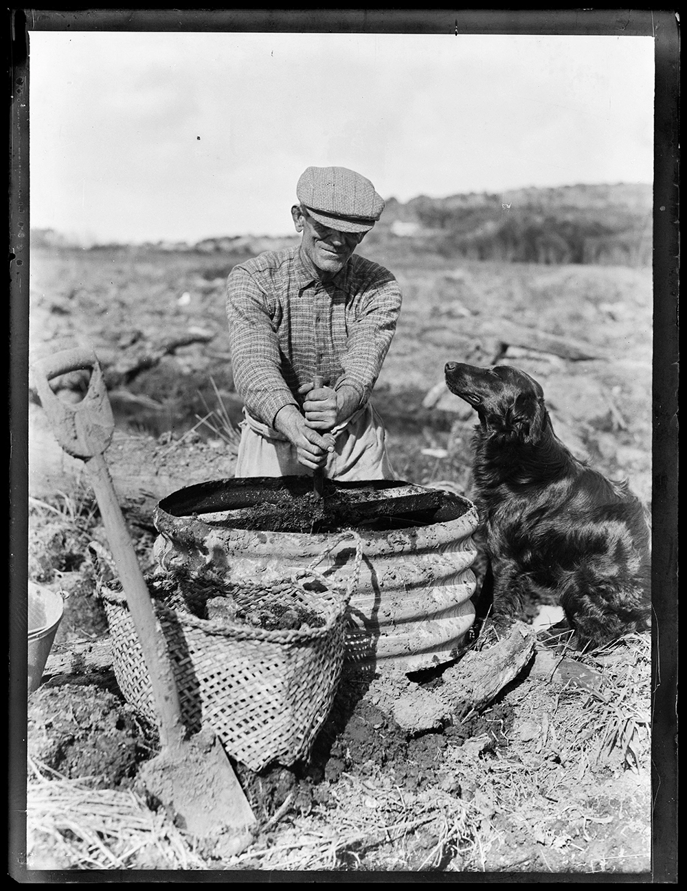 Kauri Gum Digging North Auckland | Record | DigitalNZ