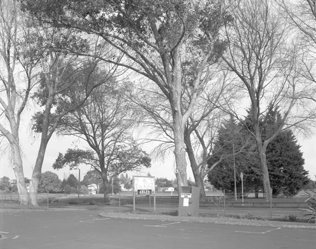 Keith Hay Park | Record | DigitalNZ