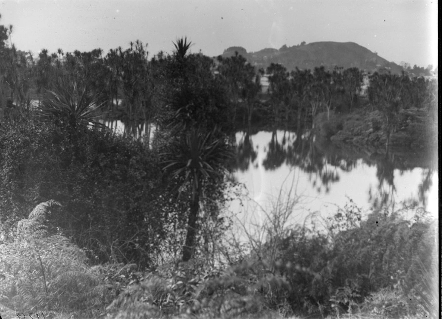 Cabbage Tree Swamp...c1909? | Record | DigitalNZ