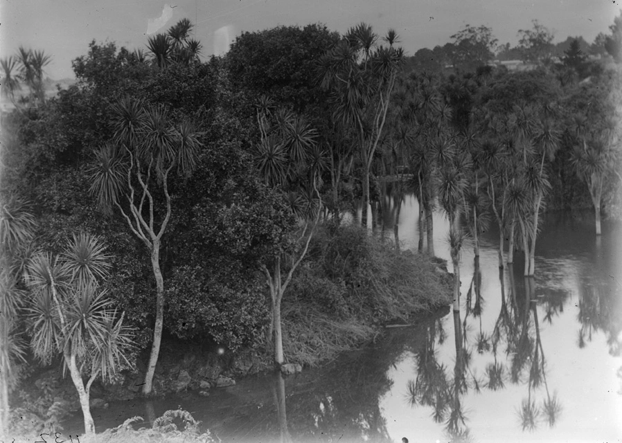 Cabbage Tree Swamp...c1909? | Record | DigitalNZ