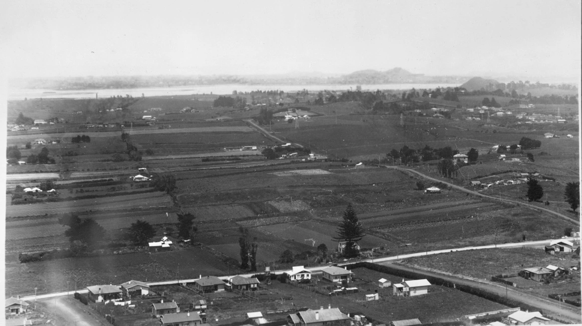 Looking south south west from the south side of Mt Wellington...1930 | Record | DigitalNZ