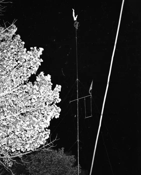 Trapeze artist (PB2413/13) | Record | DigitalNZ