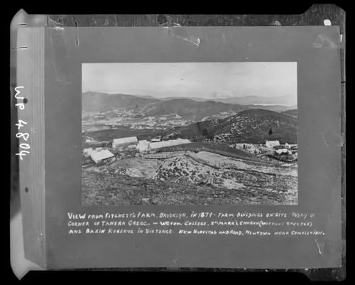 View from Fitchett's Farm, Brooklyn | Record | DigitalNZ