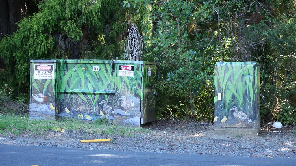 "Ducks" | Record | DigitalNZ