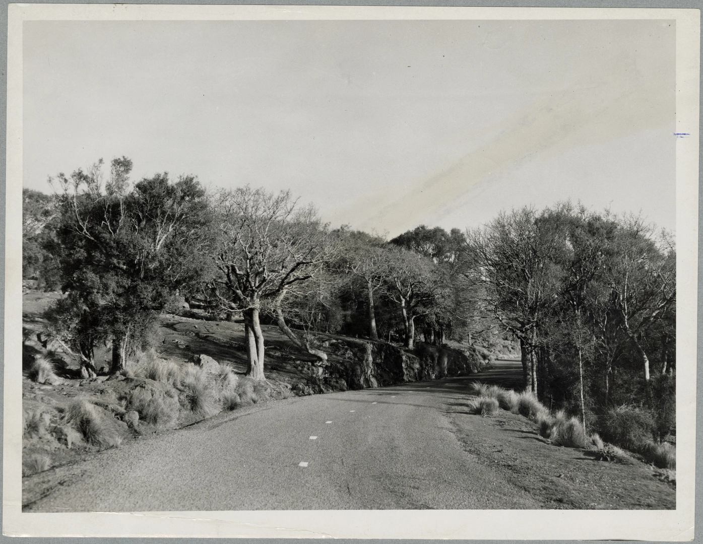 Summit Road near Kennedys Bush | Record | DigitalNZ