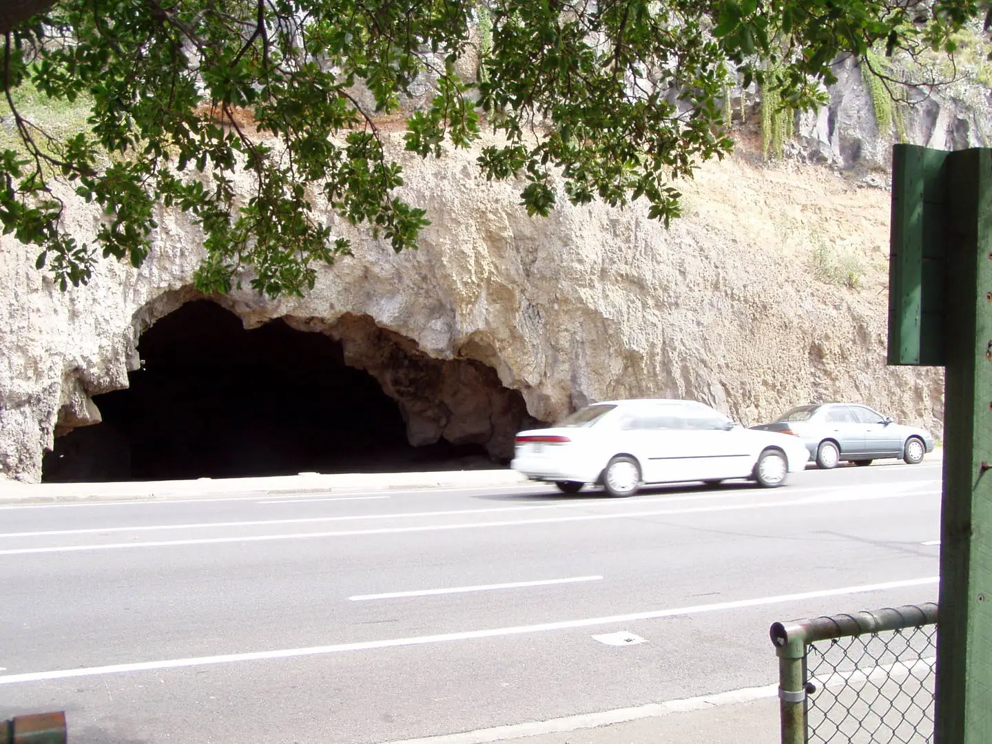 Moa Bone Point Cave, Redcliffs | Record | DigitalNZ