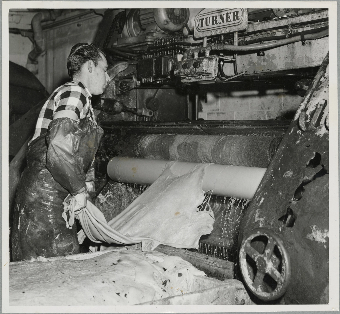 Fleshing machine | Record | DigitalNZ