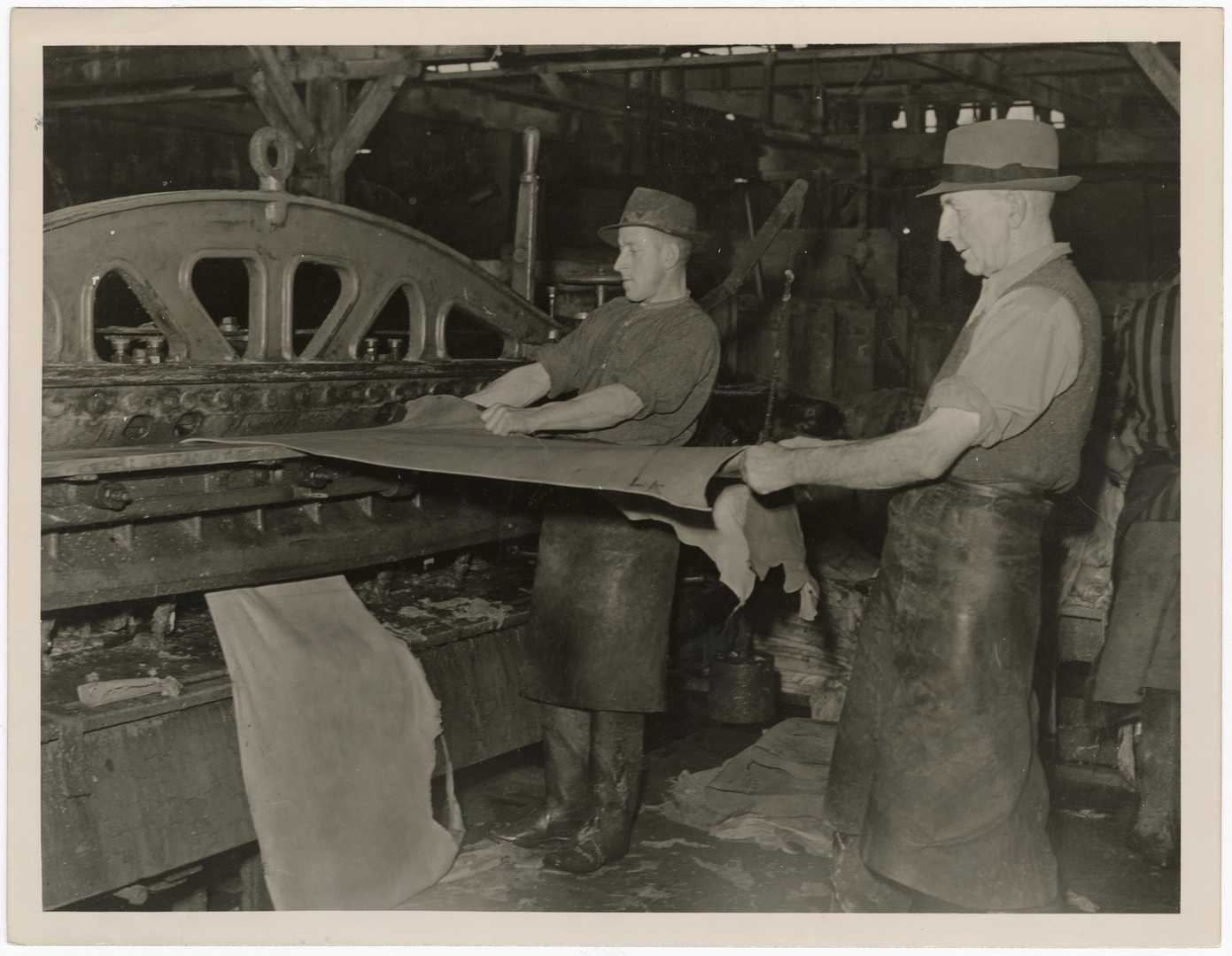 Tanners splitting a hide | Record | DigitalNZ