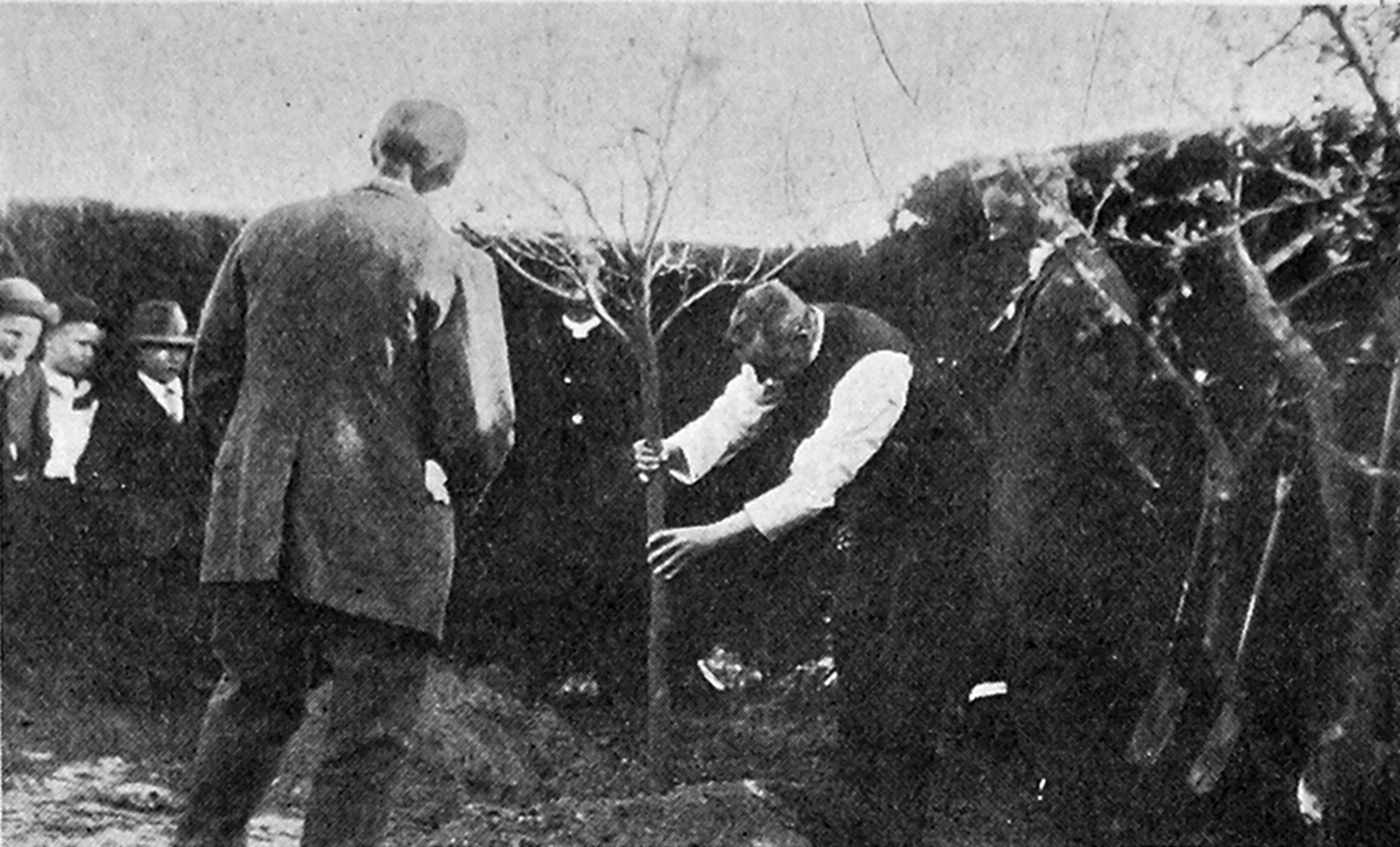 Hon. Colonel Rhodes planting memorial oak in church grounds | Record ...