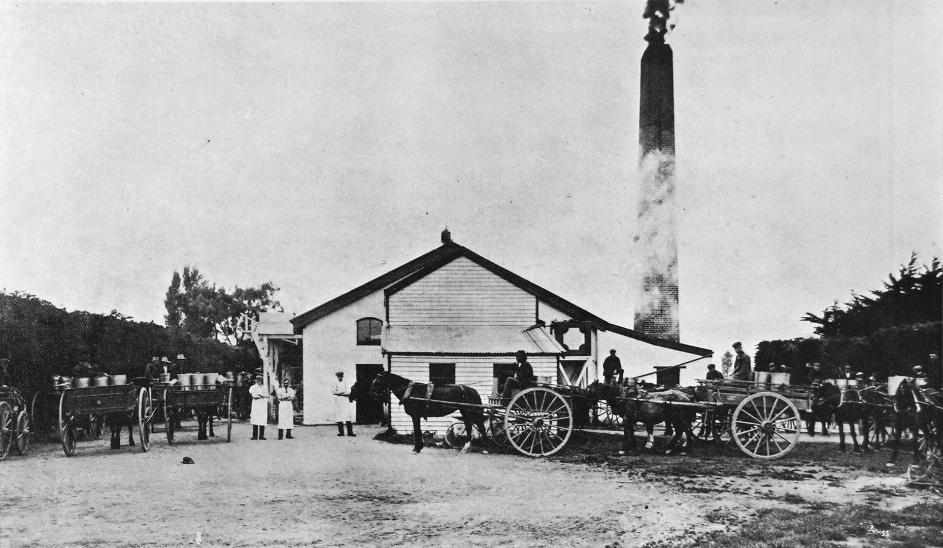 Farmers bringing in milk to the factory | Record | DigitalNZ