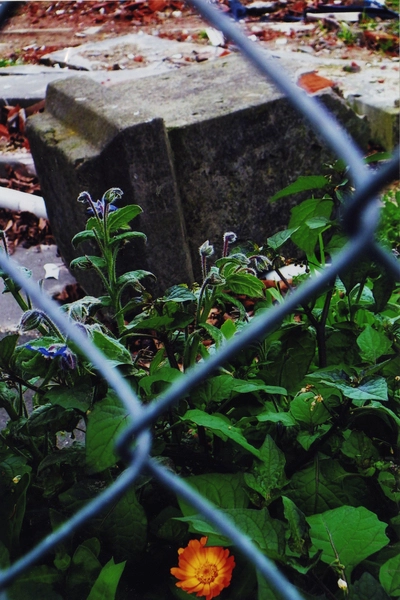 208 Worcester Street plinth | Record | DigitalNZ
