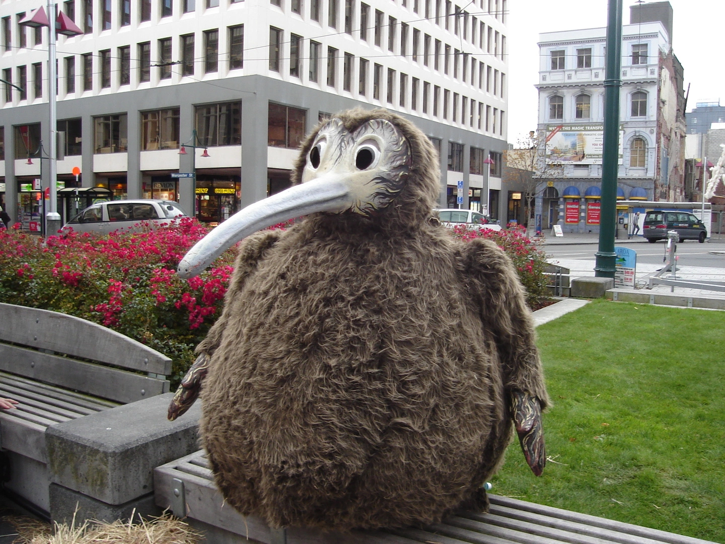 Kiwi on Display at the "Come Out and Play" festival | Record | DigitalNZ