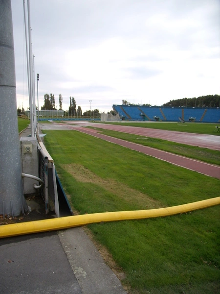 QEII Stadium | Record | DigitalNZ