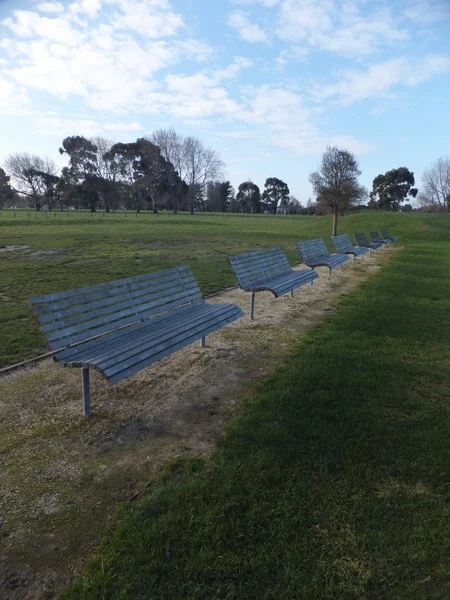 Benches at QEII Park | Record | DigitalNZ