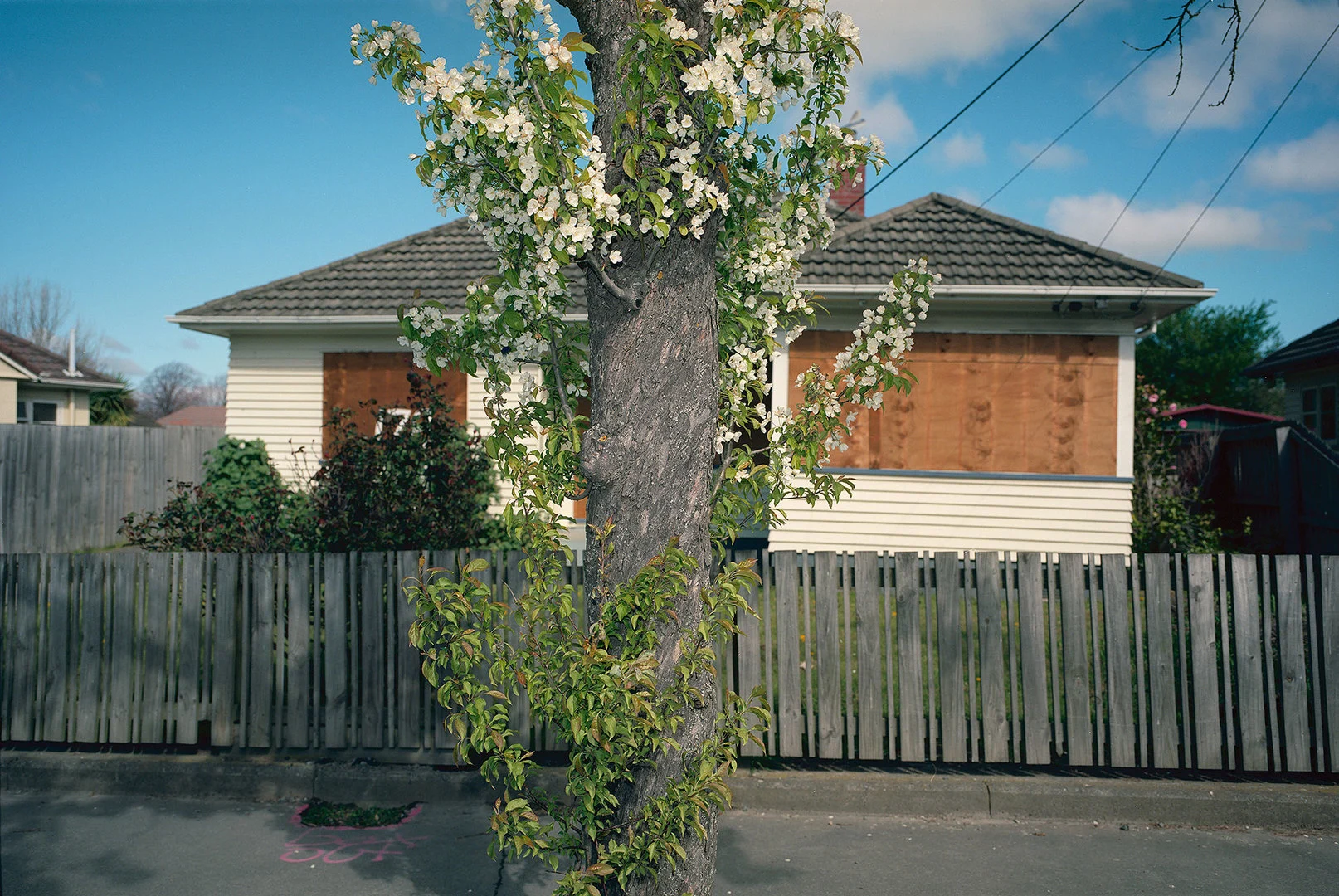 178 North Avon Road | Record | DigitalNZ
