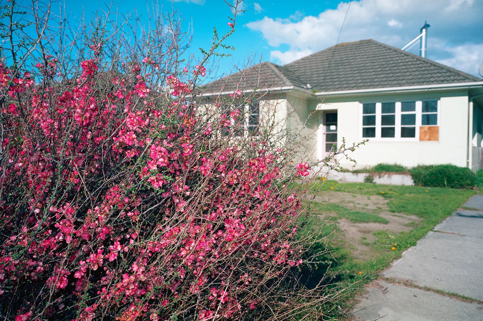 52 Robson Avenue | Record | DigitalNZ