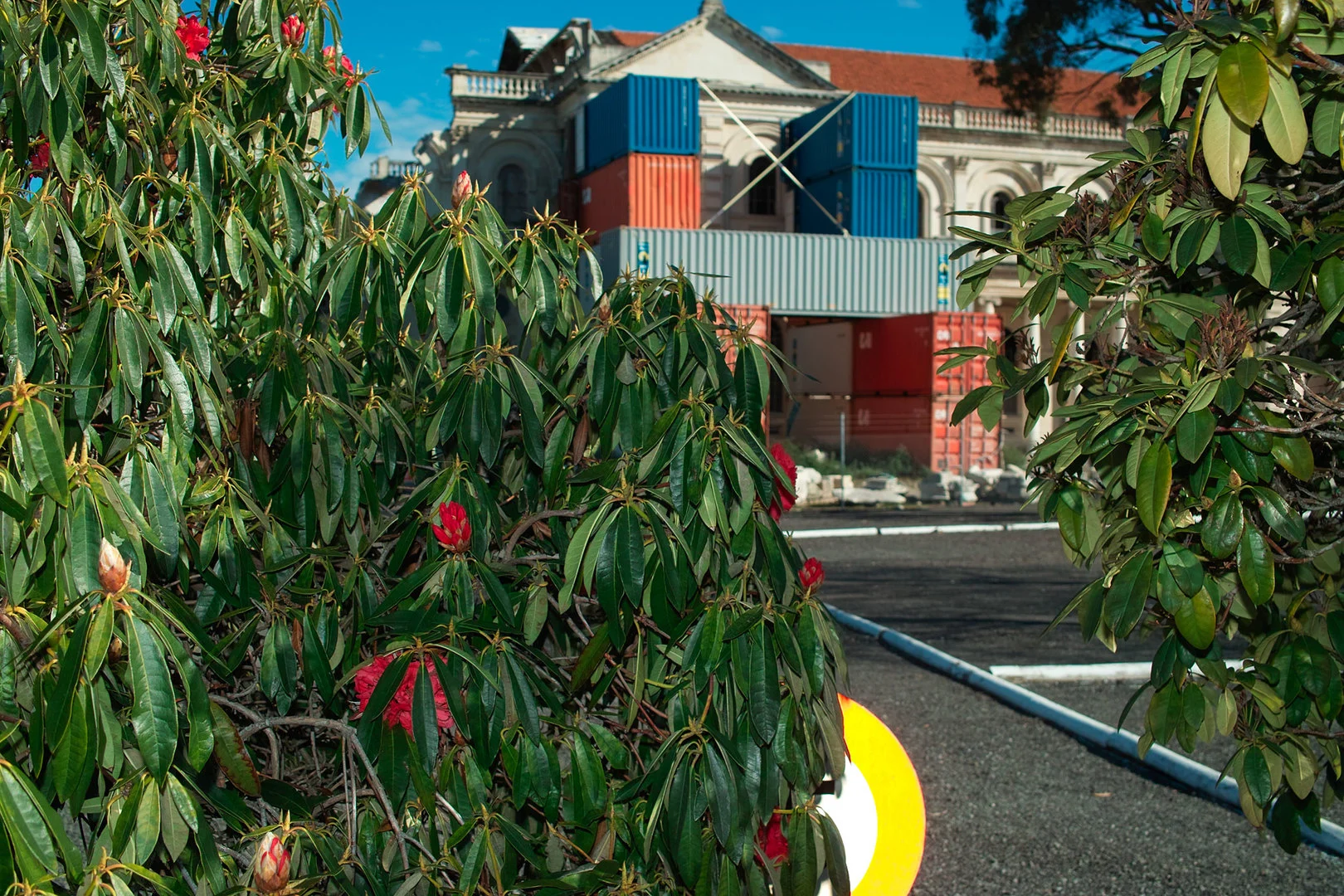 Spring view of cathedral | Record | DigitalNZ