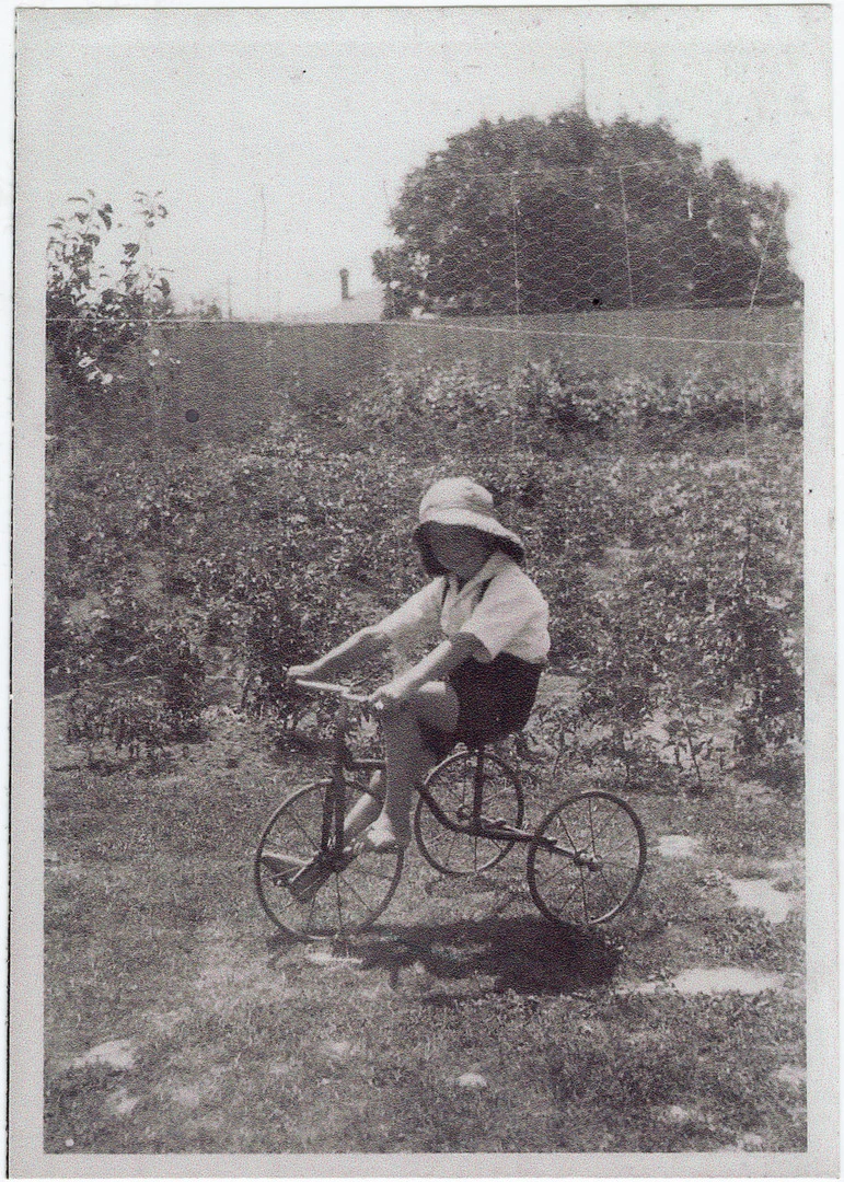 Ron Macefield on a tricycle | Record | DigitalNZ