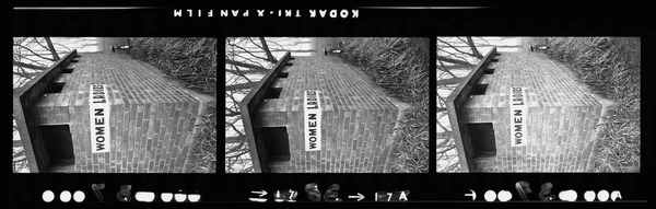 Female toilet block in Hagley Park | Record | DigitalNZ