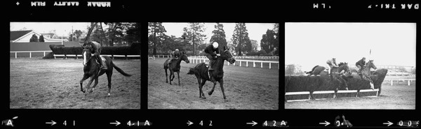 Track work at Riccarton racecourse | Record | DigitalNZ