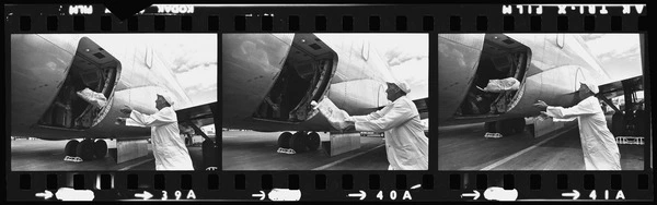 Lamb being loaded into a plane | Record | DigitalNZ