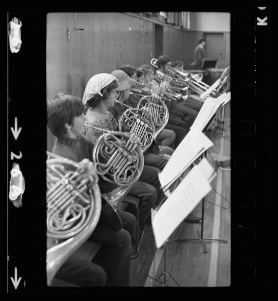 Brass section of orchestra | Record | DigitalNZ