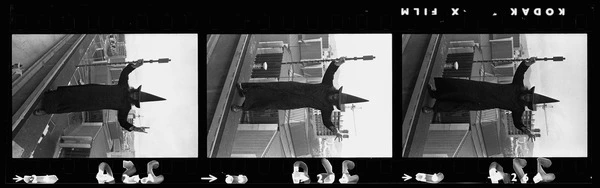 The Christchurch Wizard standing on a roof | Record | DigitalNZ