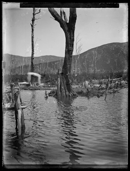 Man diving into water | Record | DigitalNZ